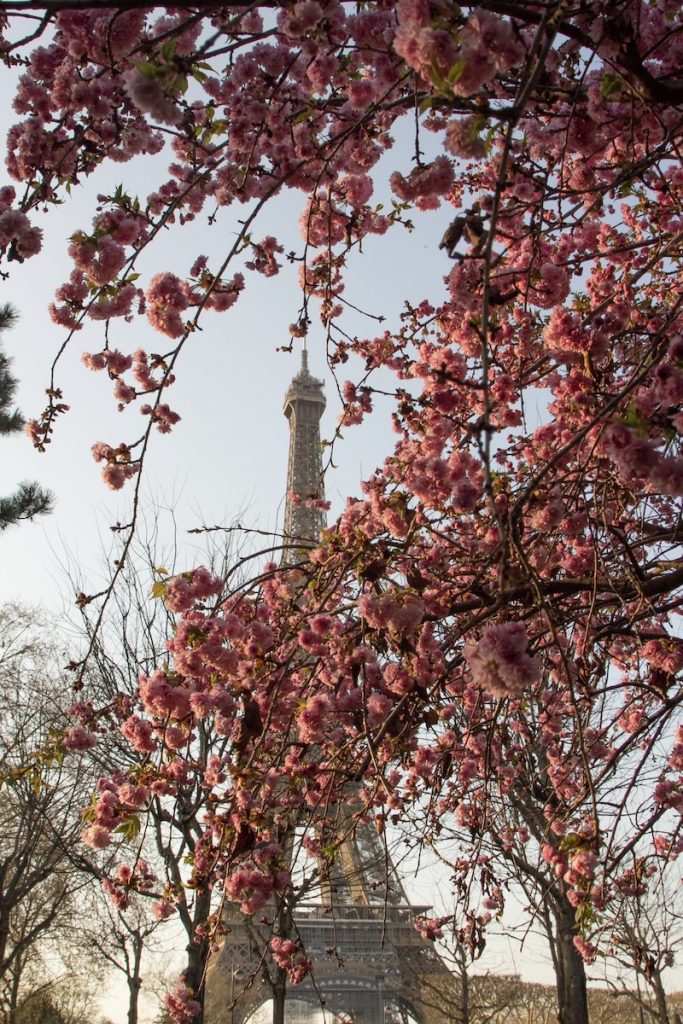 What To Do at the Eiffel Tower Gardens: Flowers, Photos, Fun - Eiffel ...